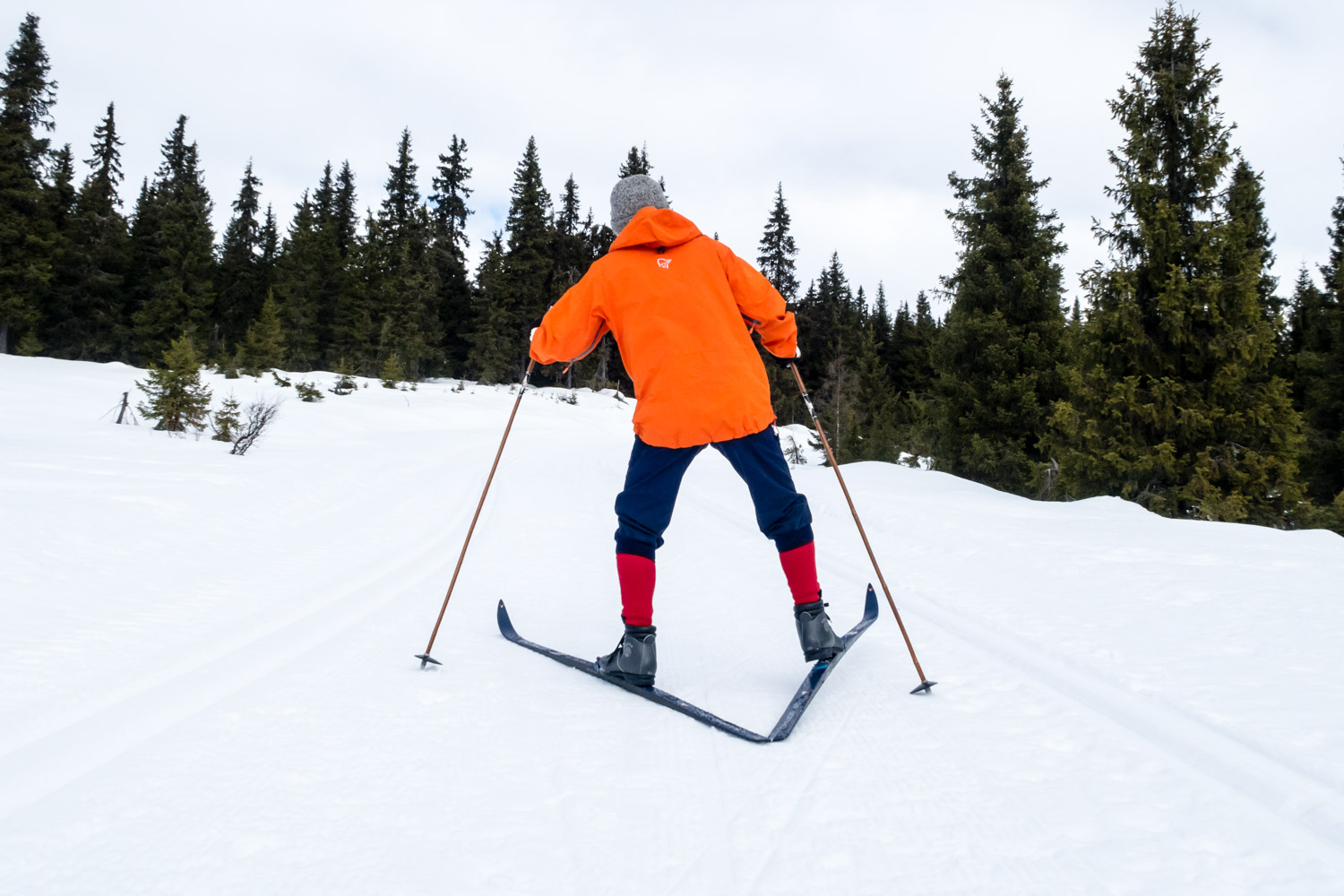 Guide: Langrend for begyndere - Læs vores gode råd